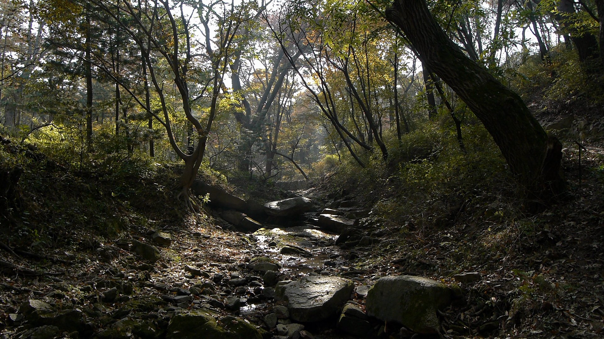 The Deathless (2014)