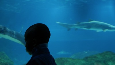 Please Answer Me (2015)