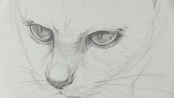 rewind, remind (2017)