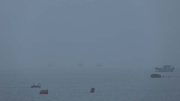 rewind, remind (2017)