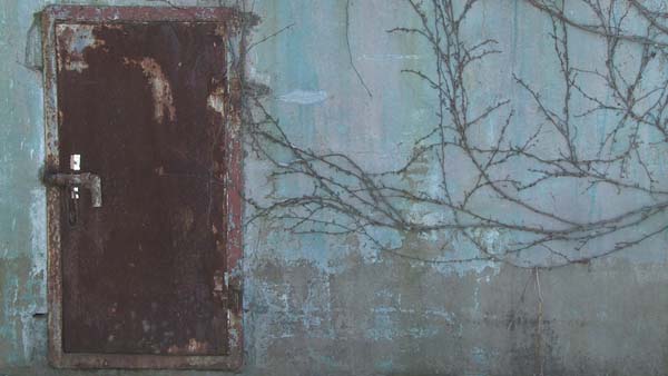 rewind, remind (2017)