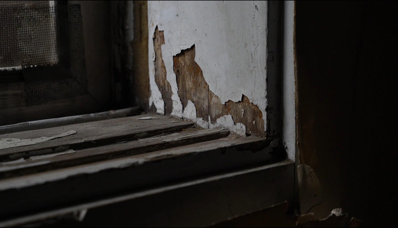 The Shape of Family (2020)